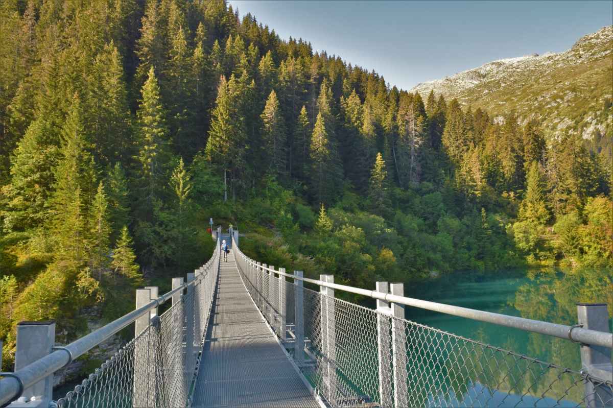 Pressing Forward – Pathway Journey